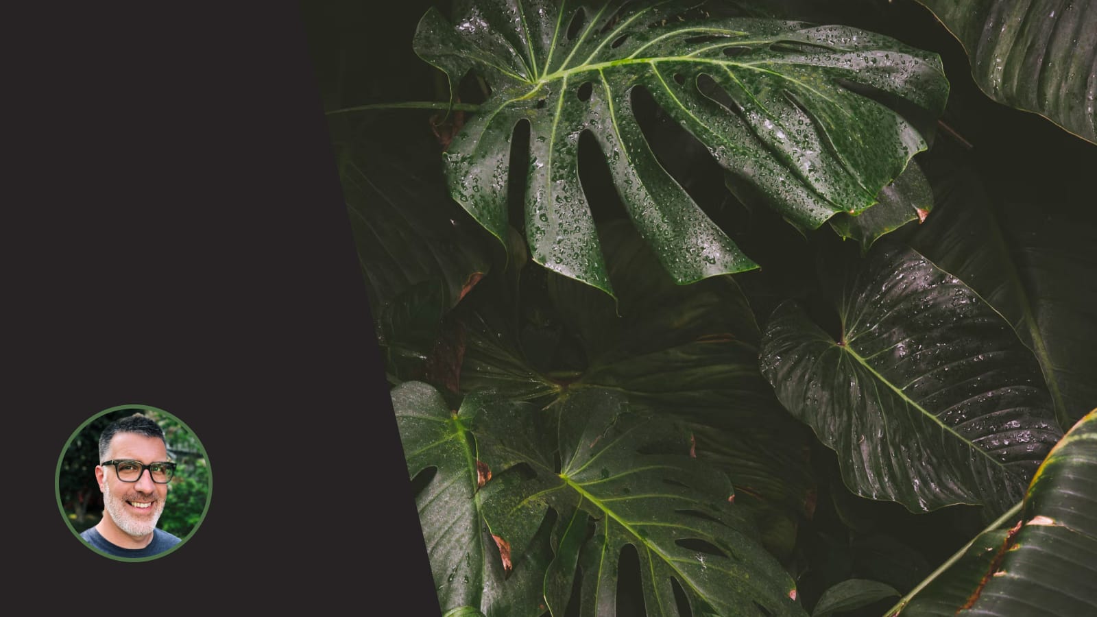 Hosting Ghost on PikaPods + Cloudflare